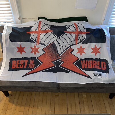 AEW X CM Punk Banner Flag • Rochester Ny Event 9/29/21 Thank You Brodie ...