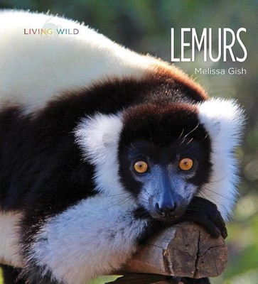 Lemurs by Melissa Gish (English) Hardcover Book 9781608188307| eBay
