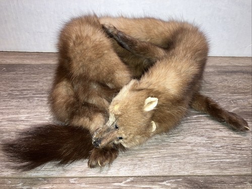 Vintage Genuine Fox Fur Collar Wrap Scarf | eBay