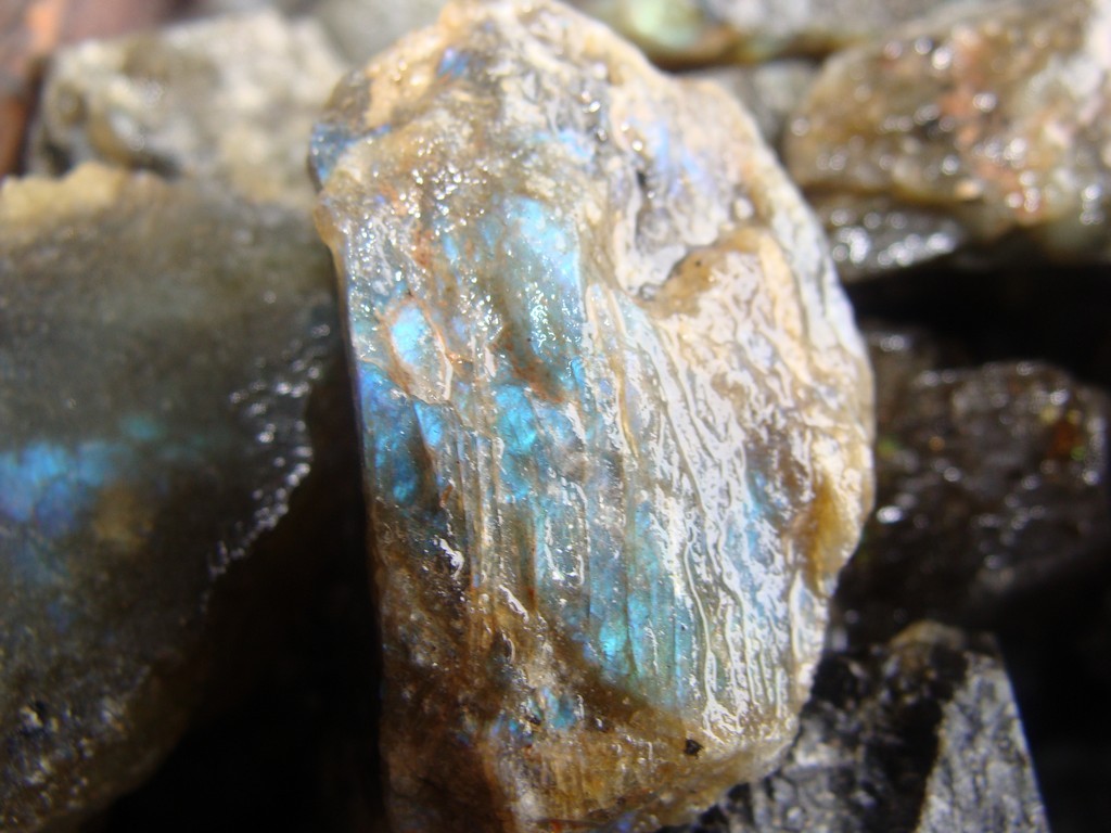 1000 Carat Lots of Unsearched Natural Labradorite Rough + FREE faceted ...
