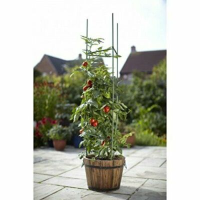 Tomato Tower Plant Support (1.5m) Climbing Plants Vegetables Pots ...