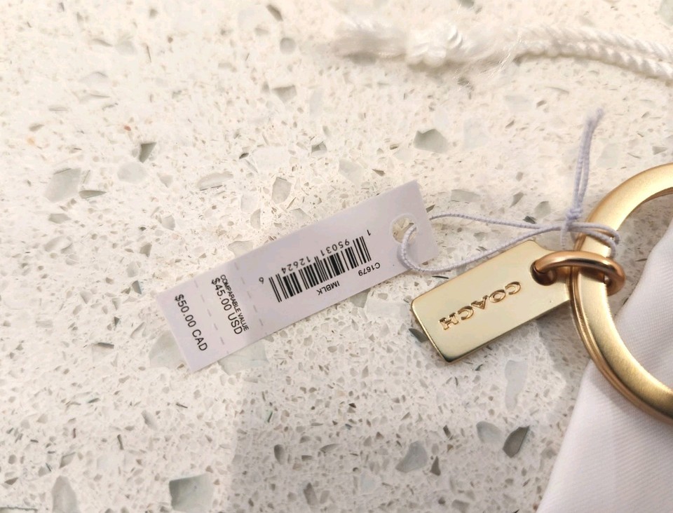 NWT Coach LOCK & KEY Bag Charm Keychain Valet Key Chain Metal C1679 ...