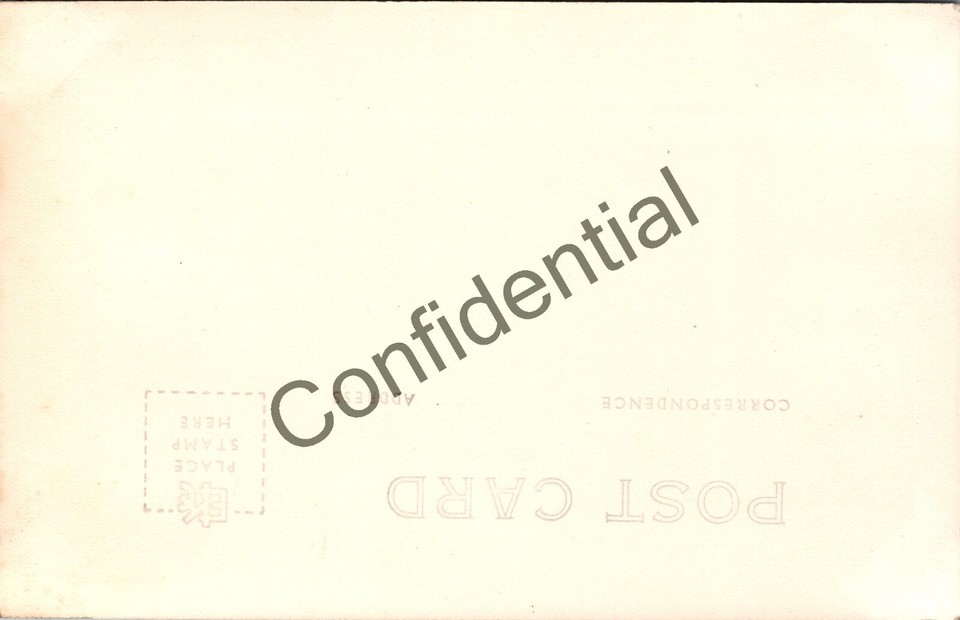 Real Photo Great Fun Feeding A Chipmunk Chipmunks Animal Postcard RP ...