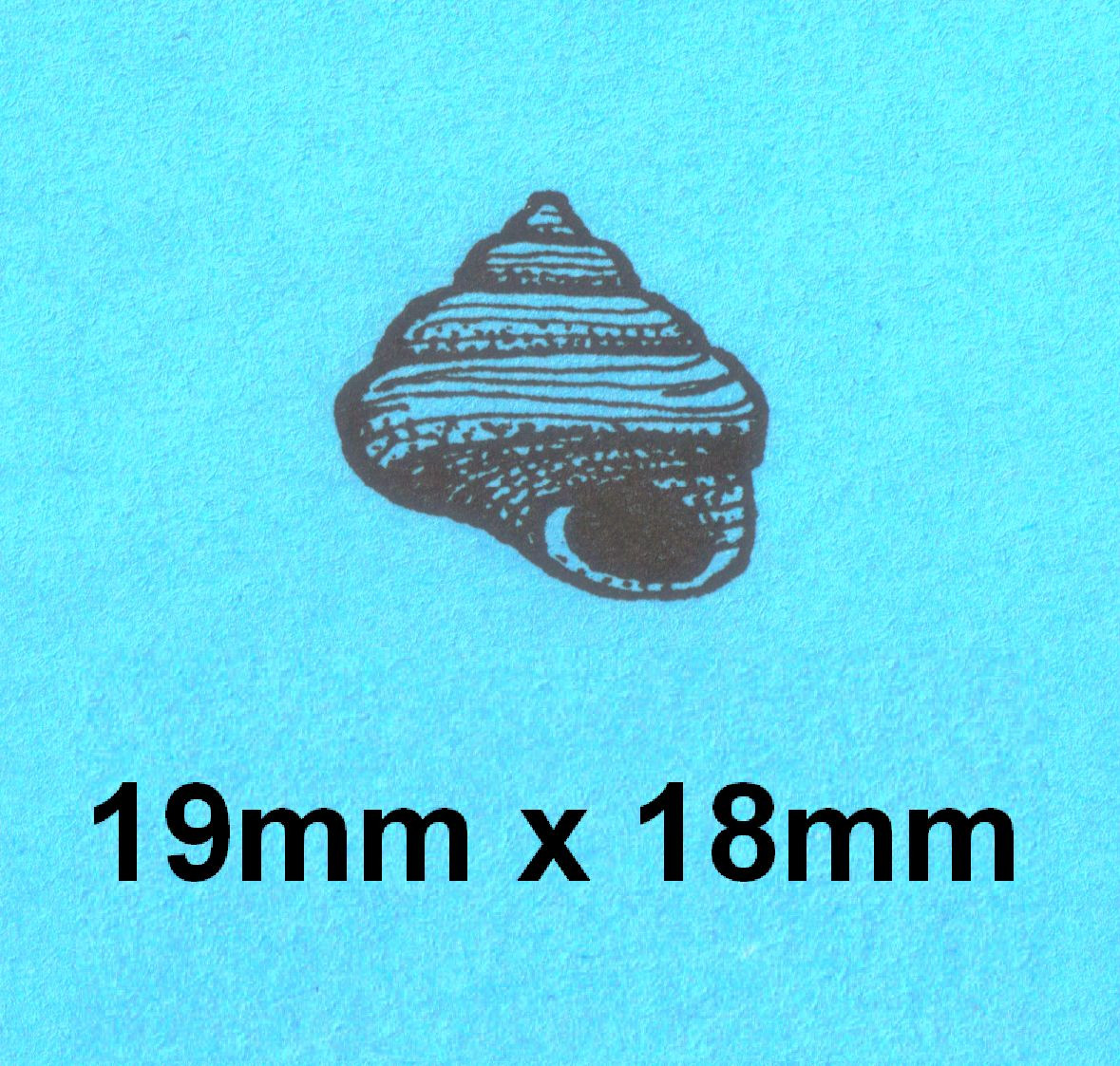 Seashell Stamps - Backed with cling foam | eBay UK