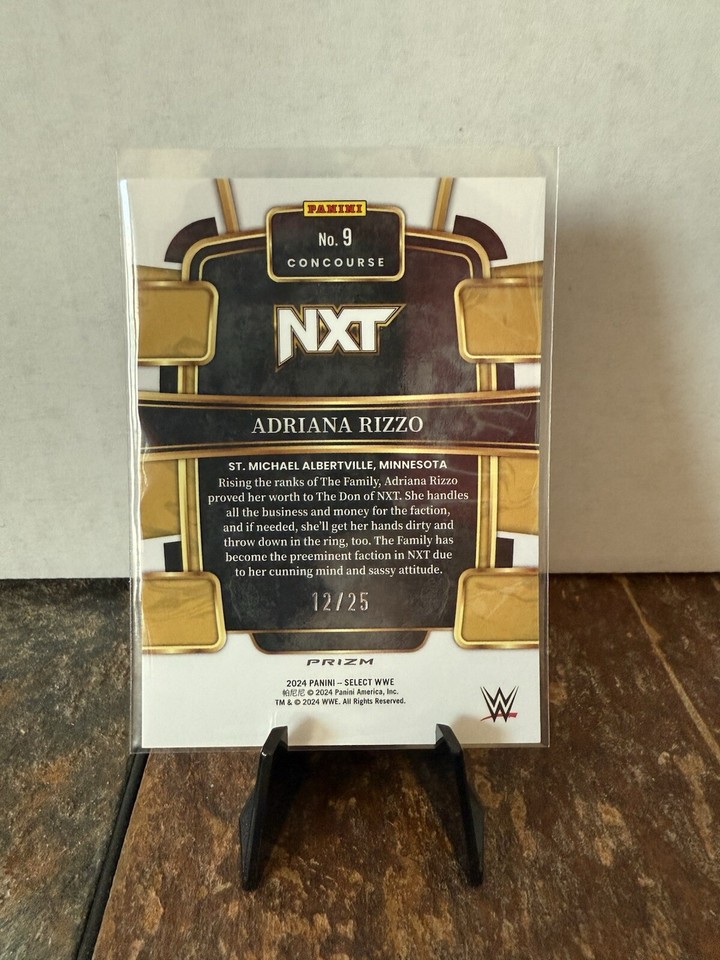 2024 WWE Select Adriana Rizzo Tie Dye 12/25 | eBay