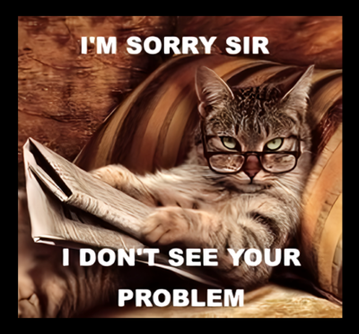Sorry Kitten Memes I'm Sorry Sir I Don't See Your Problem Funny Cat