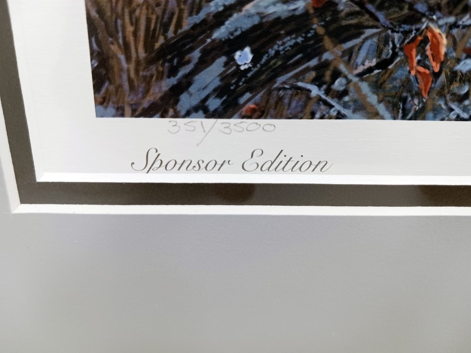 James Meger Storm Break Sponsor Edition Signed Numbered 351/ 3500 Print ...