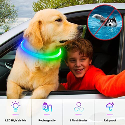 Light Up Dog Collars Multi-Color USB Rechargeable LED Dog Collar 1 ...