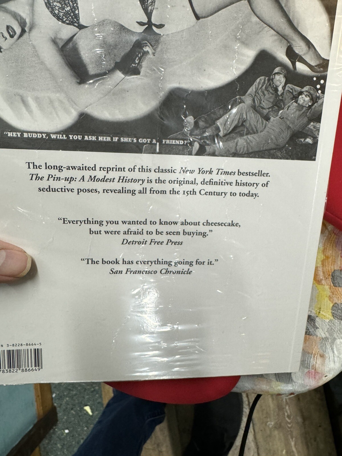 Pin Up : A Modest History by Mark Gabor (1996, Trade Paperback) for sale online | eBay