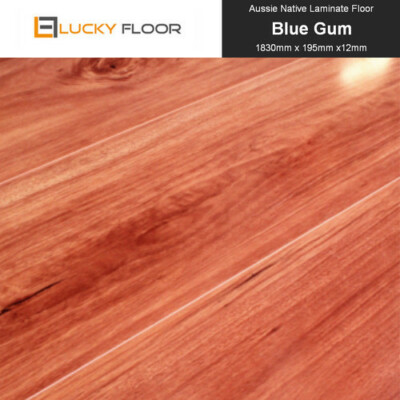 12mm High Gloss AC4 Blue Gum Laminate Flooring Floating Timber Floor ...