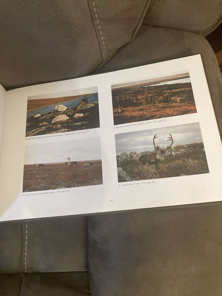 Barebow !: An Archer's Fair-Chase Taking of North America's Big-Game 29 ...