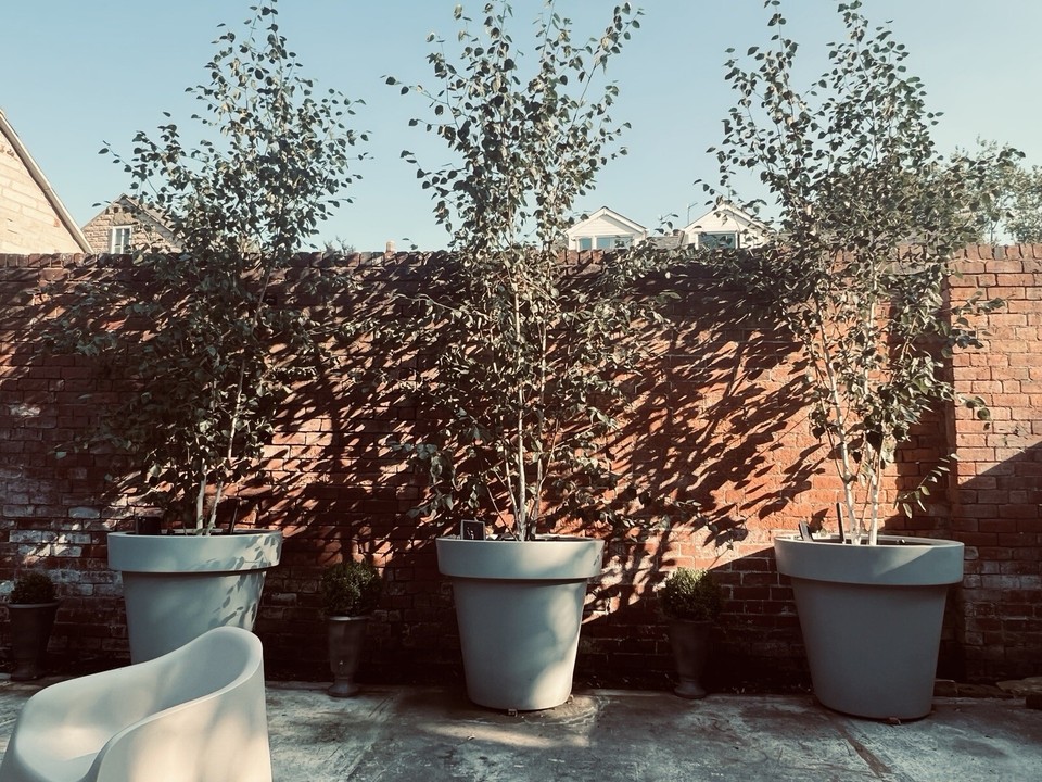 100cm Big Plant Pots ANTHRACITE extra large MASSIVE garden tree planter ...