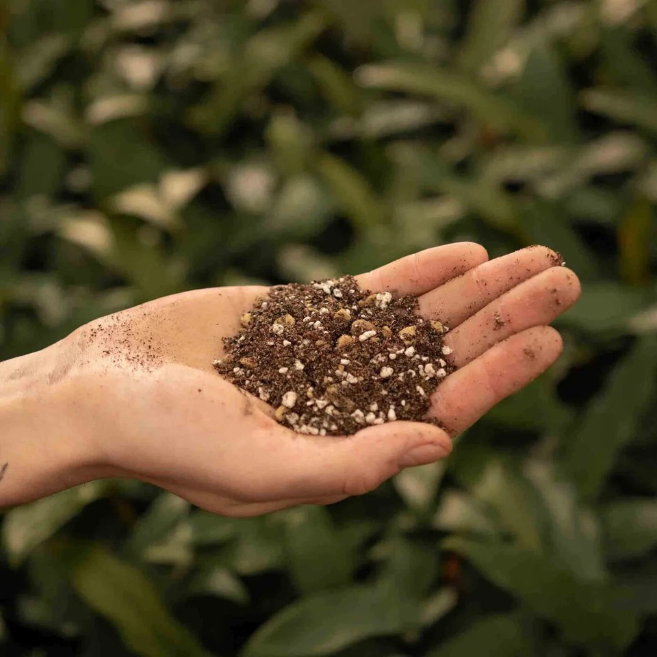 ORGANIC Potting Soil Mix Peat Moss 50% - Perlite 25% - Vermiculite 25% ...