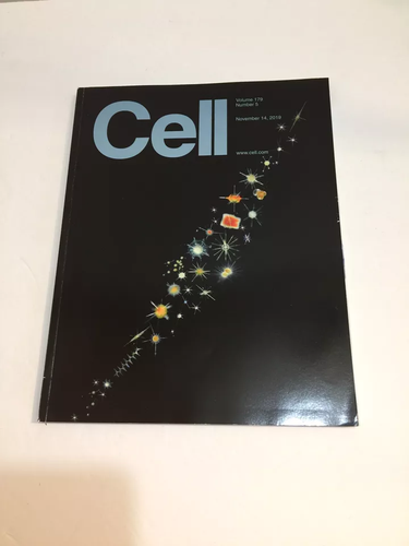 Magazine Cell Medical Vol 179 Is#5 November 14 2019 Marine Plankton ...