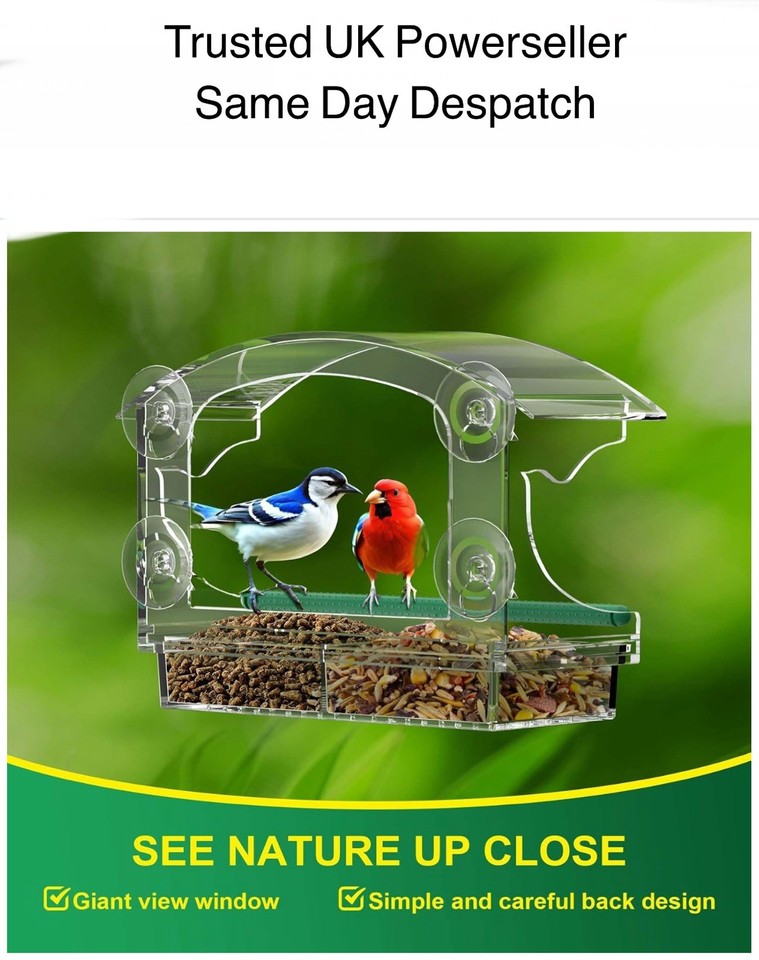 Clear Mounted Window Bird Feeder Perspex Feeding Seeds & Nuts Garden ...