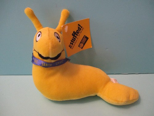 UC Santa Cruz Yellow Banana Slug 8” Plush Stuffed Animal Toy MINT | eBay