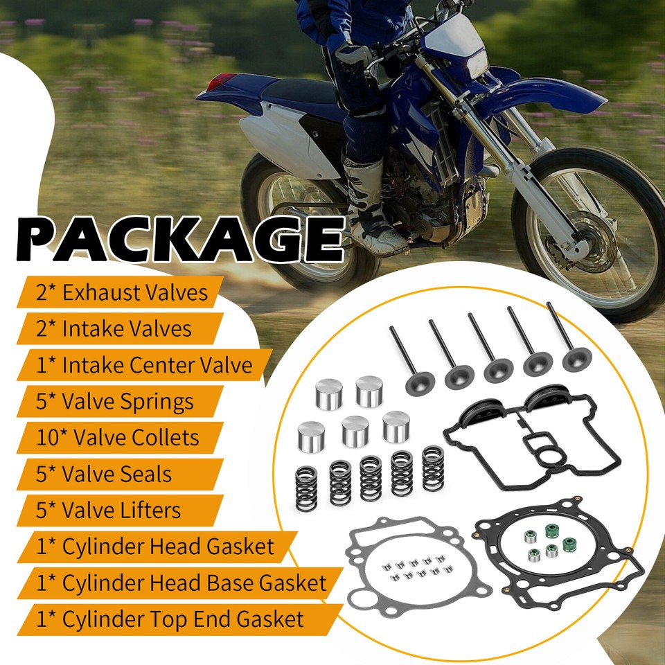 Cylinder Head Exhaust Intake Valve & Spring Gasket Kit for Yamaha ...