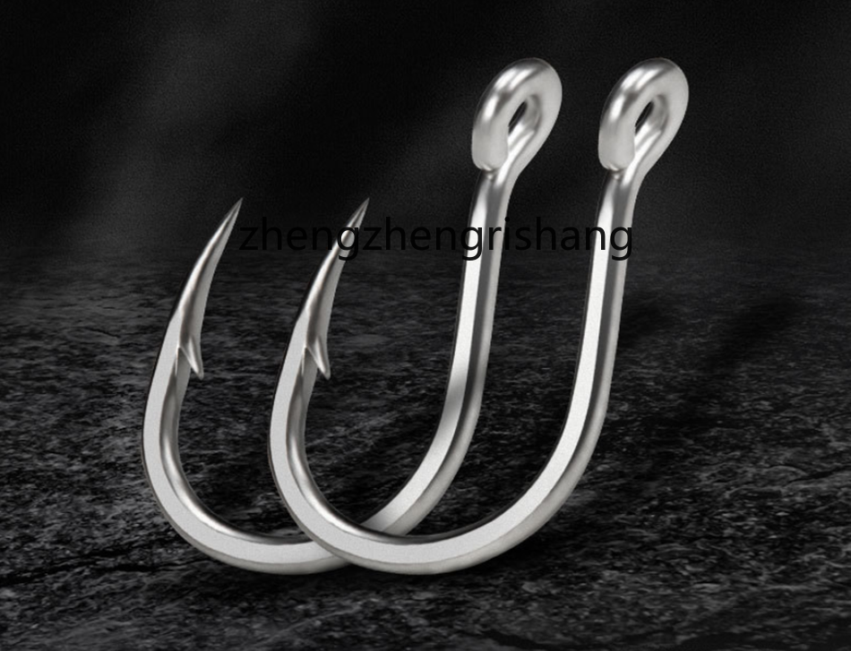 Stainless Steel Fishing Hook 2X Strong Live Bait Circle Hook Saltwater ...