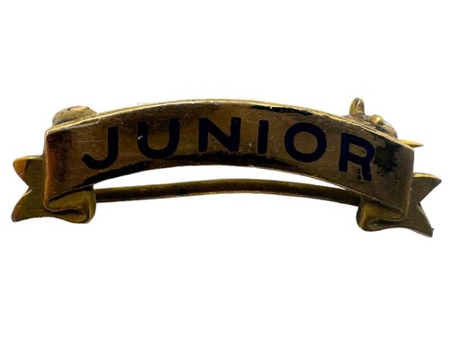 Vintage D.A.R Gold Filled JUNIOR Pin, J.E. Caldwell ¥ | eBay