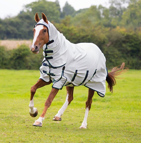 Shires Sweet Itch Combo Hoody/Hoodie Fly/Bug Rug ALL SIZES FLY MASK ...