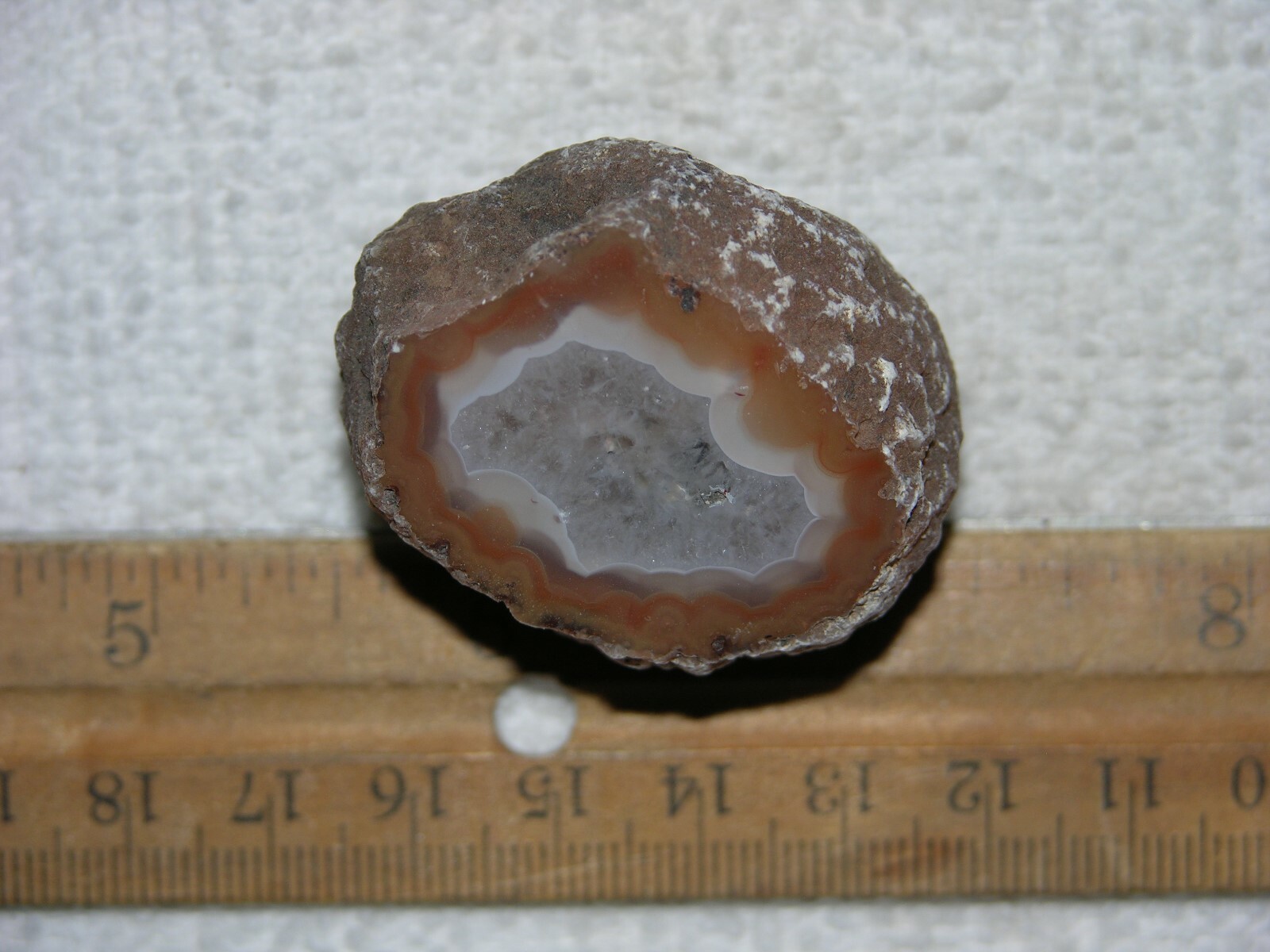Laguna agate geode cut and polished Mexico 1 x 1 1/2 inch G267 | eBay
