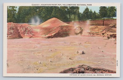 Postcard Fountain Paint Pot Yellowstone National Park Wyoming | eBay