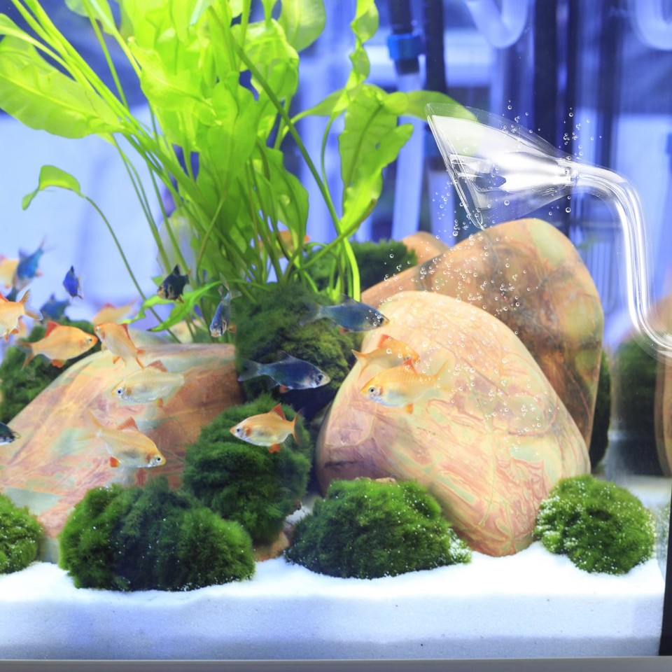 Professional Water Household Fish Tank Water Flow Fish Tank Glass Water ...