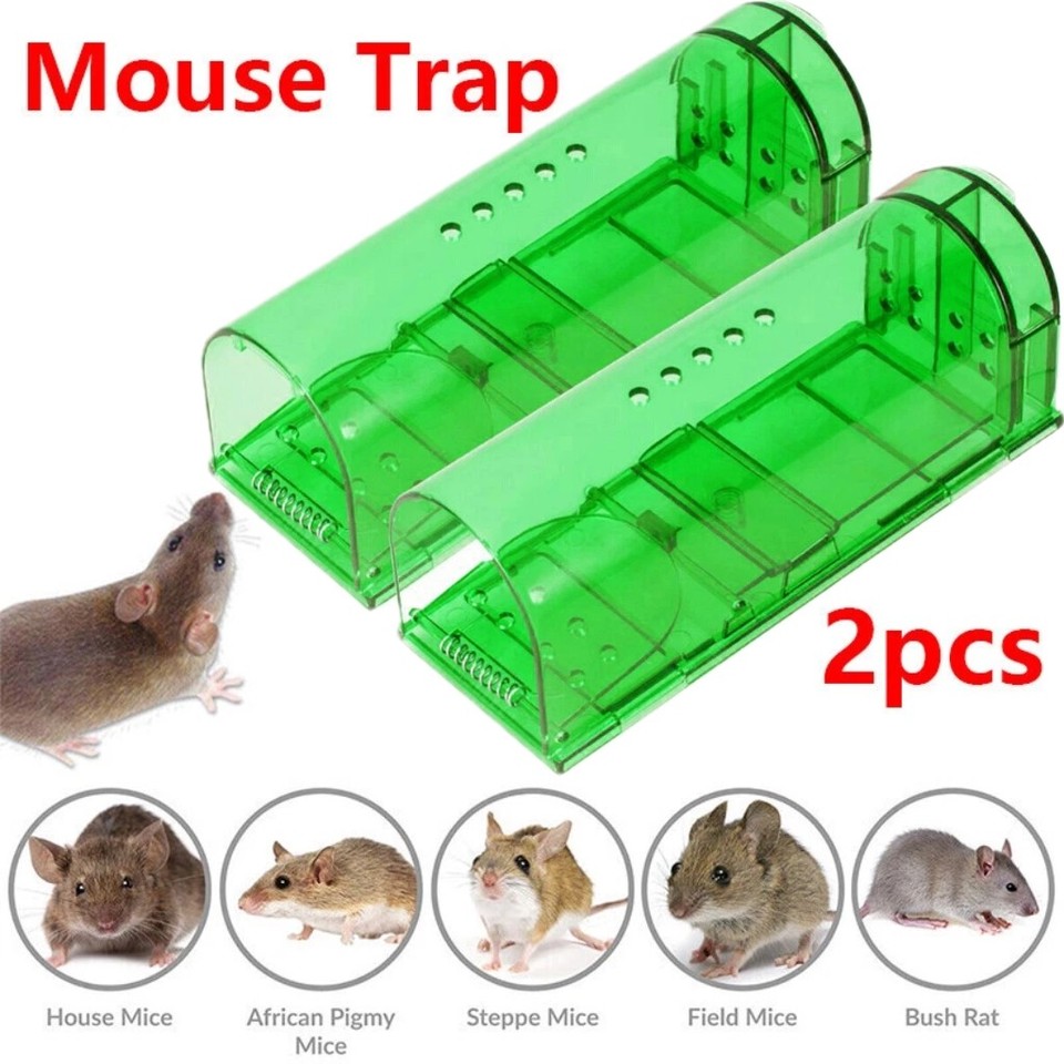 Humane Mouse Traps Live Catch and Releas Best Selling Mousetrap Hone UK ...
