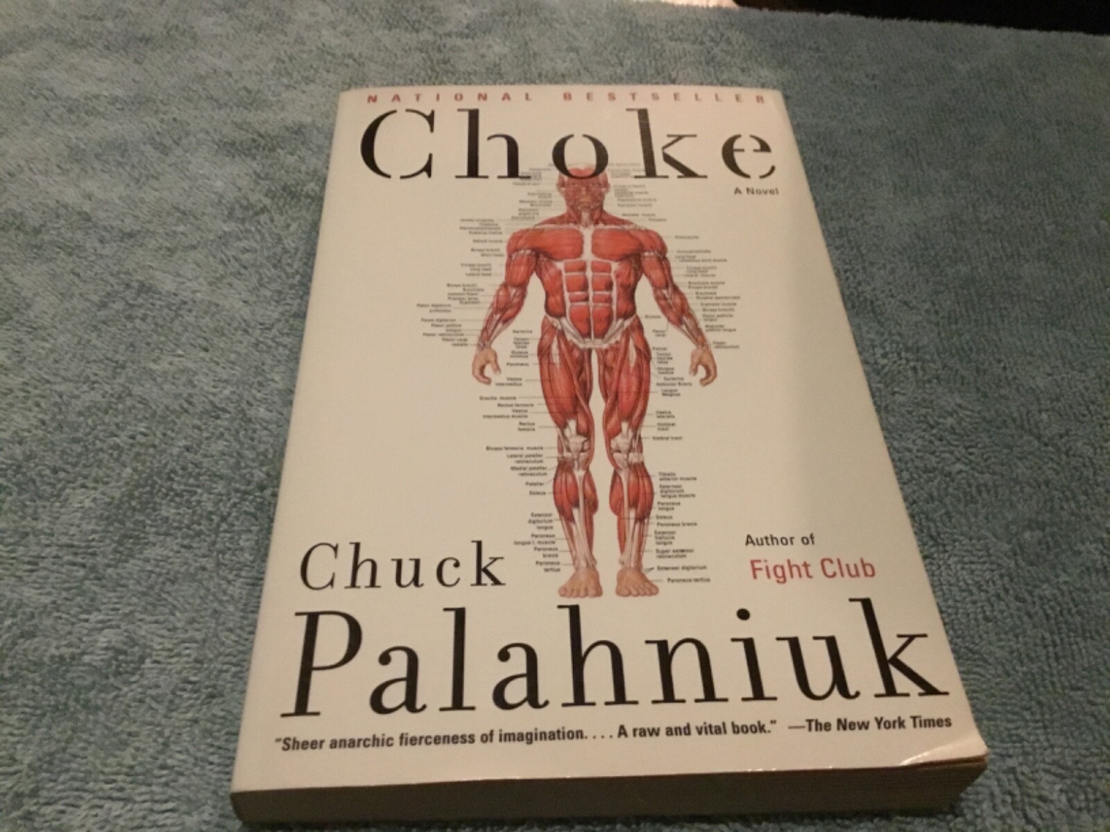 Choke by Chuck Palahniuk (2002, Trade Paperback) 9780385720922| eBay