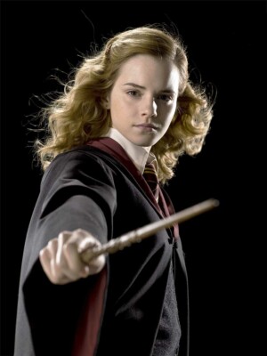 Celebrity Photo Poster Emma Watson beautiful fierce pose Hermione 1329 ...