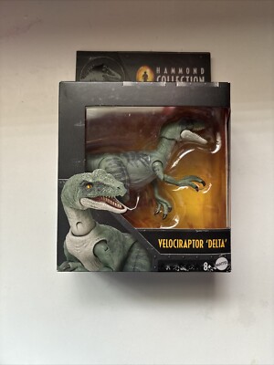 Jurassic World Hammond Collection Velociraptor Delta Action Figure ...