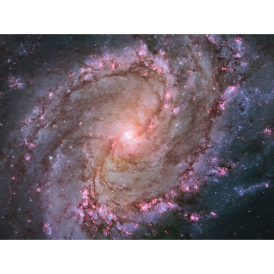 Hubble Space Telescope Spiral Galaxy M83 Star Formation Art Poster ...
