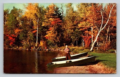 Fly Fisherman Trout Fishing Fly Casting Postcard | eBay