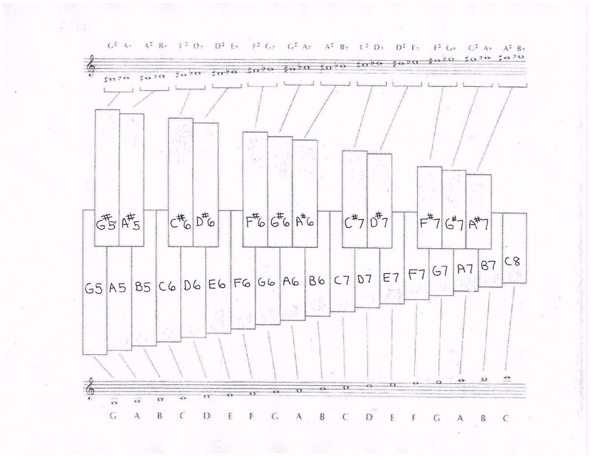 Xylophone Notes Chart