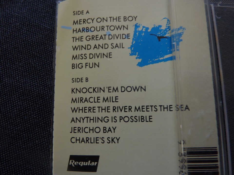 ICEHOUSE CODE BLUE ULTRA RARE AUSTRALIAN CASSETTE TAPE! XX | eBay