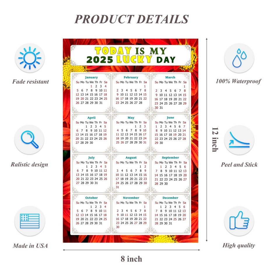 2025 Peel & Stick Calendar - Today is my Lucky Day Removable - v031 (12 ...