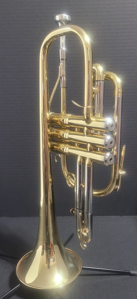 Martin Committee Cornet , Committee Cornet , 4 MPC, Protec Case with ...