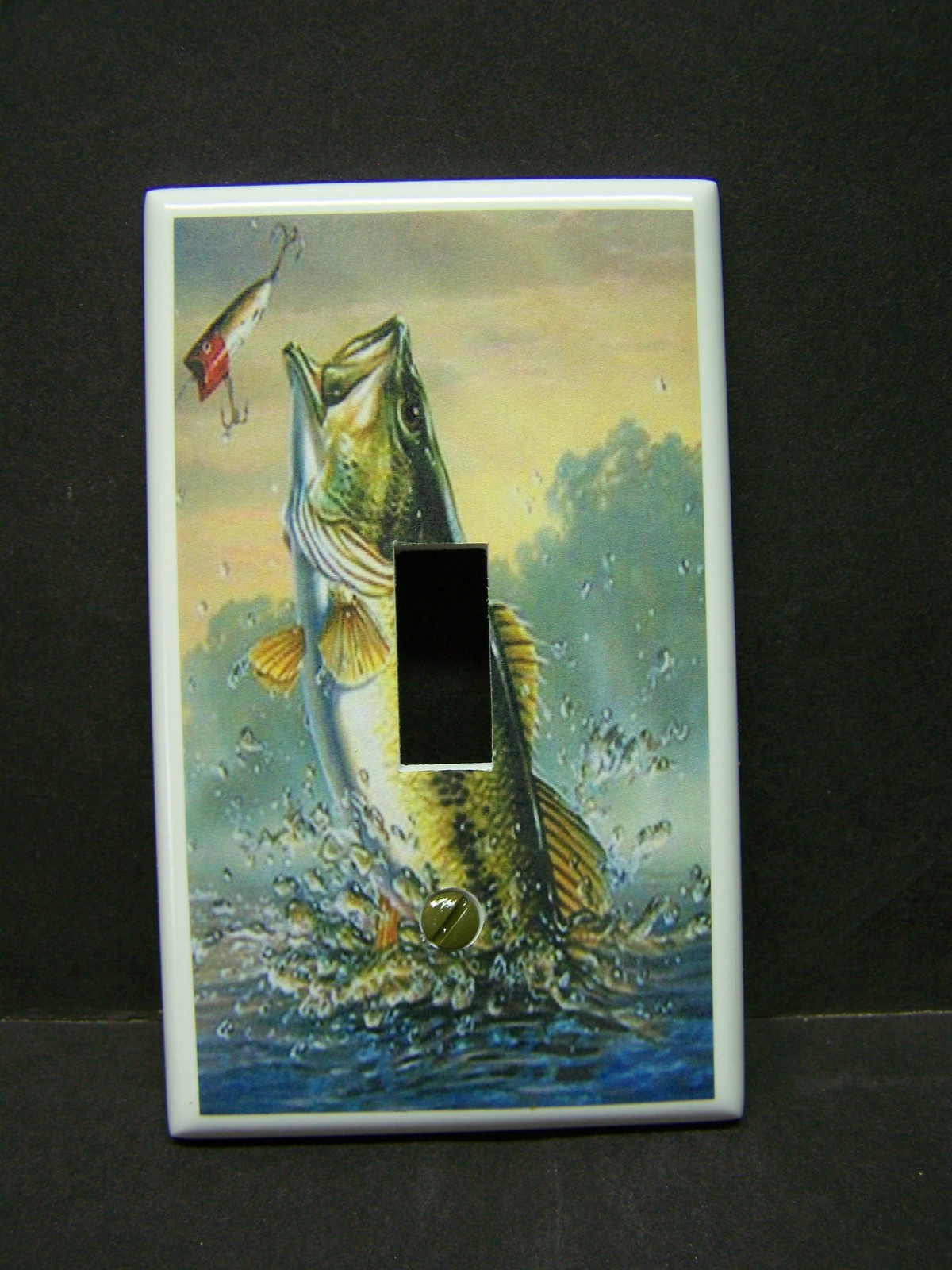 LARGE MOUTH BASS FISH FISHING IMAGE #1 LIGHT SWITCH COVERS PLATE AND ...