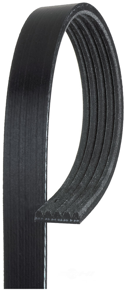 Serpentine Belt-Premium OE Micro-V Belt CARQUEST fits 16-22 Chevrolet ...