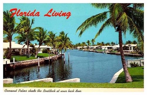 Postcard HOUSE SCENE State of Florida FL AS4382 | eBay