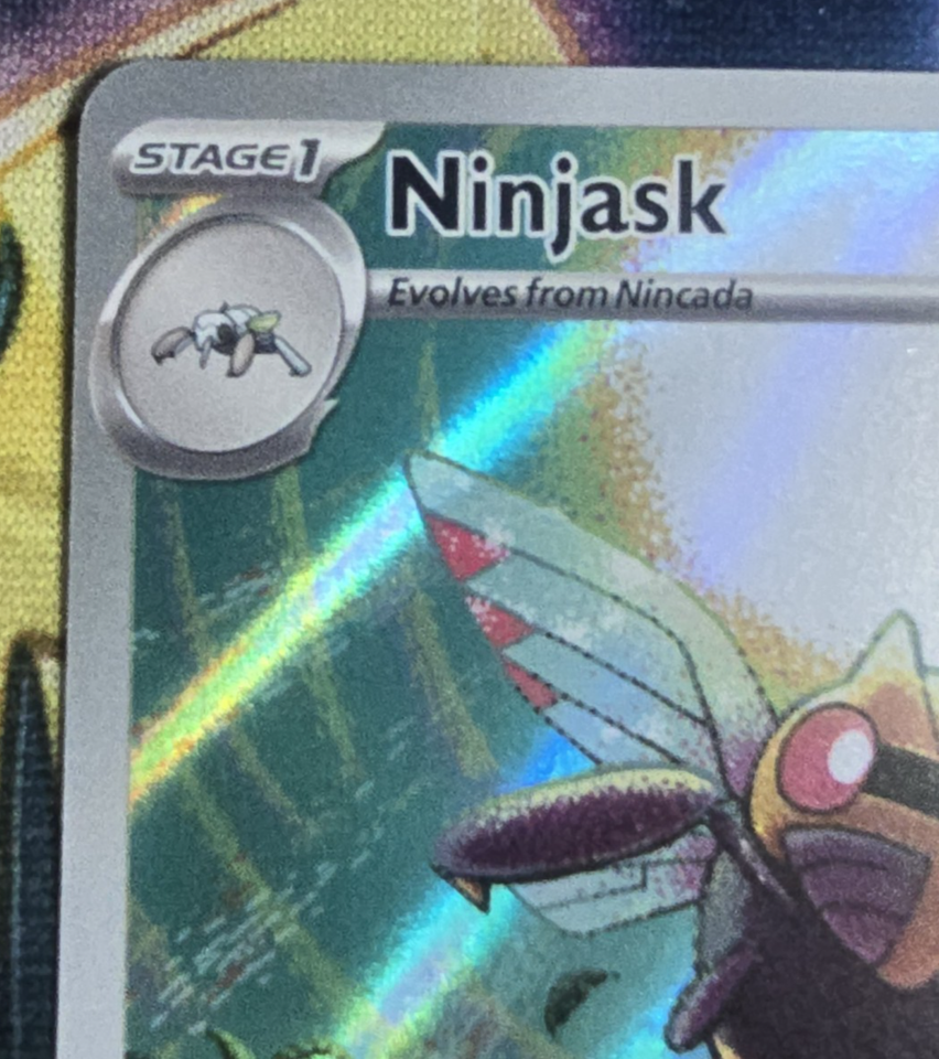 Ninjask - 137/132 - *Illustration Rare* - Pokemon Mega Evolution - NM ...