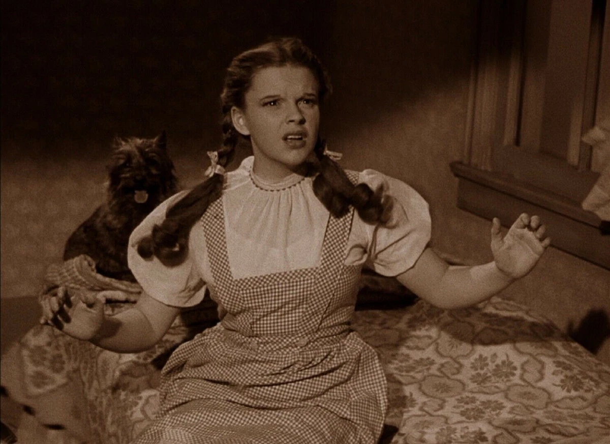 Dorothy Wizard Of Oz Tornado