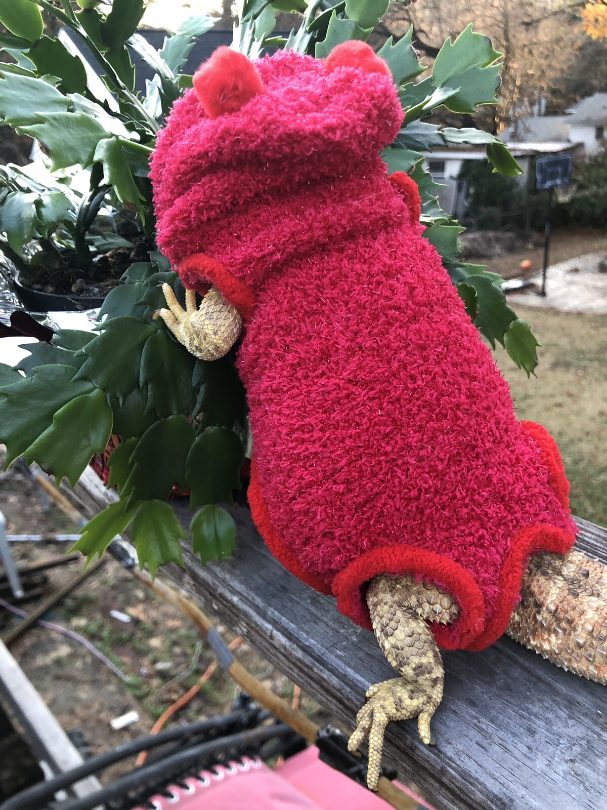 RED SOFT FUR SNUGGY #6 XLRG SLEEVELESS BODY SHIRT HOODY 4 UNISEX ...