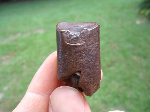 BARGAIN SLOTH TOOTH FLORIDA FOSSILS ICE AGE EXTINCT CLAW JAW BONES ...