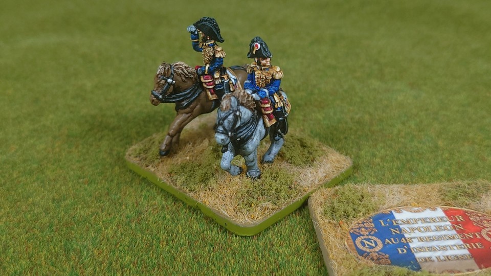 18mm/15mm Pro Painted Napoleonic French Army Napoleon At War Miniatures ...