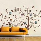 Family Memory of Tree Bird Wall Sticker Photo Frame Vinyl Removable ...