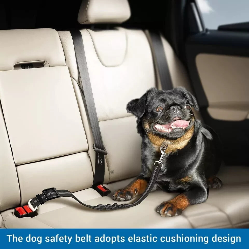 Dog Seat Belt Leash Pet Seatbelt Car Suv Safety Adjustable Harness ...