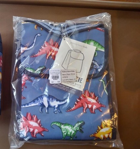 Pottery Barn school Dinosaur LUNCH BOX BAG Disney pre k boy travel ...