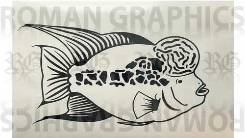 Flowerhorn Cichlid Decal Red Dragon King Kamfa Kok Sticker Aquarium ...