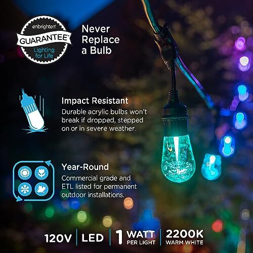 Enbrighten Premium Smart Color Changing String Lights, 24ft, Lights ...